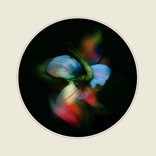 Contemporary - Akasha Art Editions