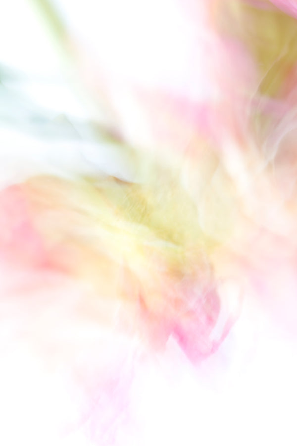 Zomerbloem 1 - Akasha Art Editions